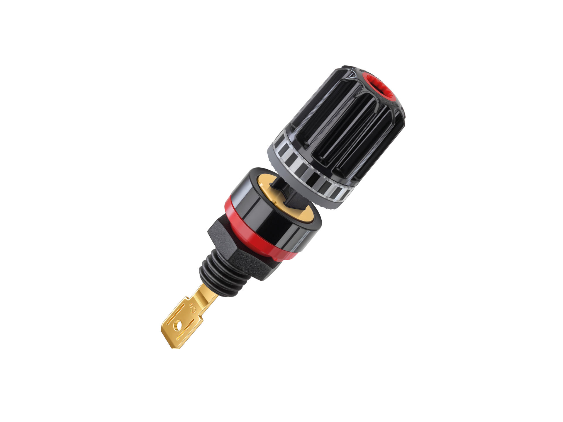 Show Highlight: WBT - FIDELITY online