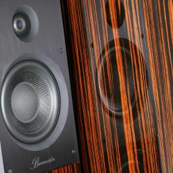 Burmester B18 Standlautsprecher im Test - FIDELITY online